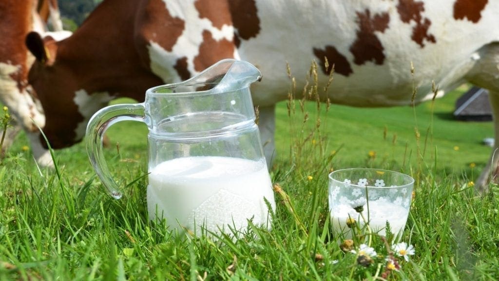 Arla Foods partners with Danish VikingGenetics to increase dairy ...
