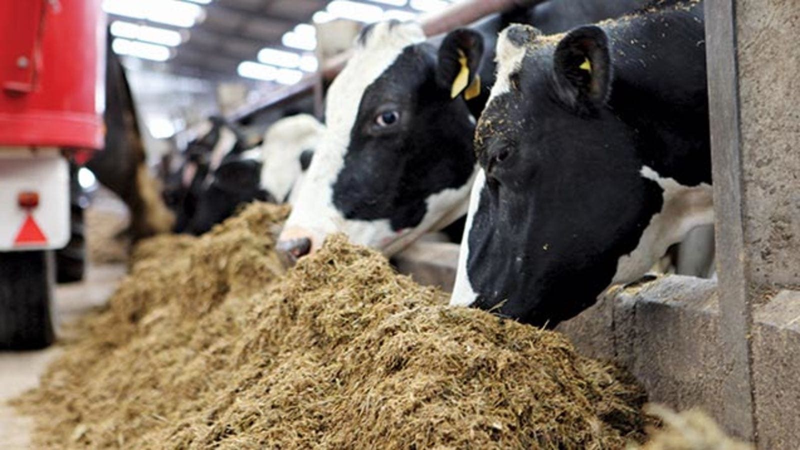 Rwanda based Inyange Industries introduces mineral water in glass ...