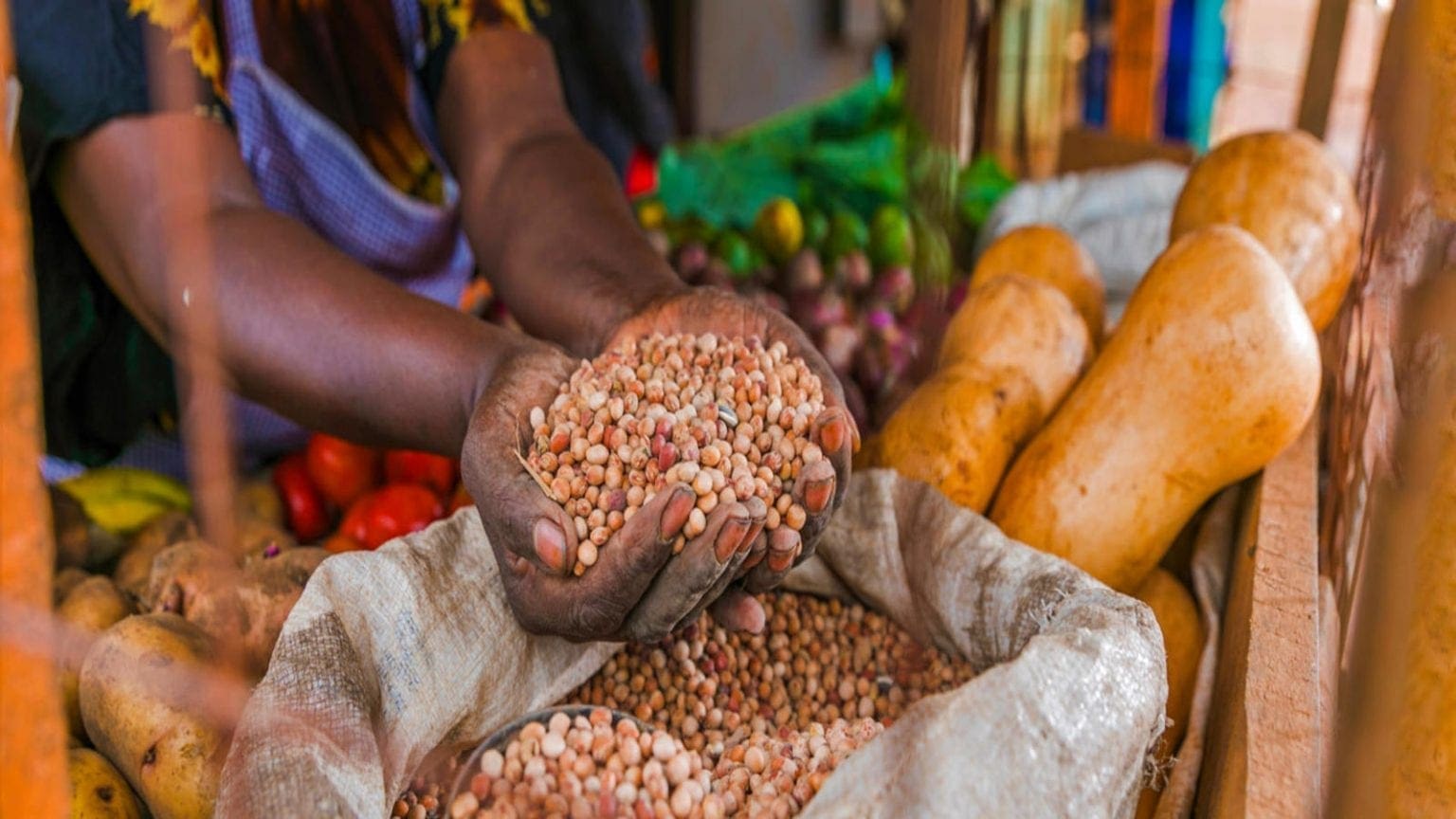 World Food Program encourages new ideas to tackle food insecurity at ...