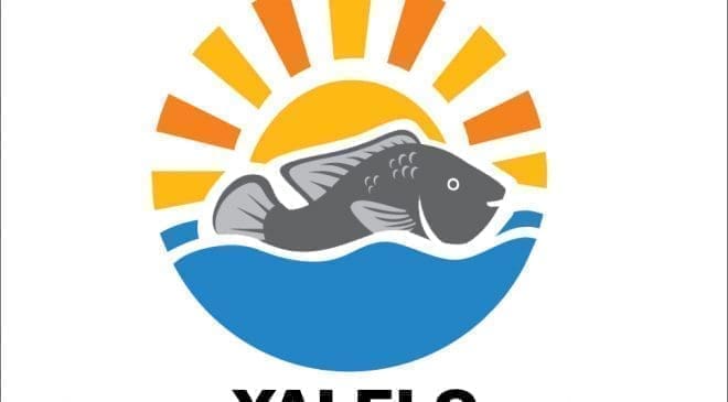 Yalelo Logo | Food Business Africa Magazine