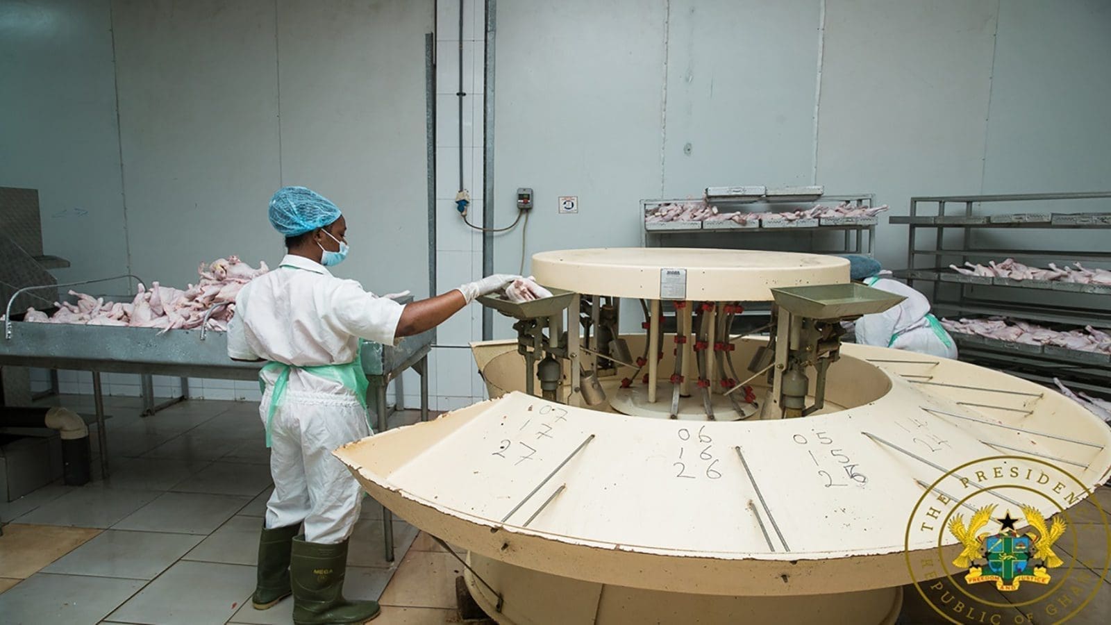 Ghana revamps operations at its largest poultry company Darko Farms ...