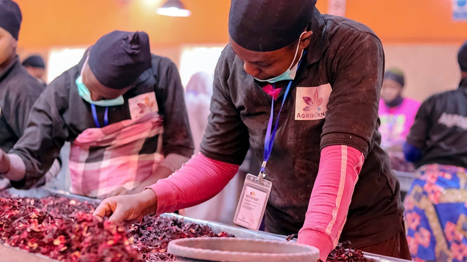 Aruwa Capital invests in Nigerian hibiscus processor Agroeknor ...