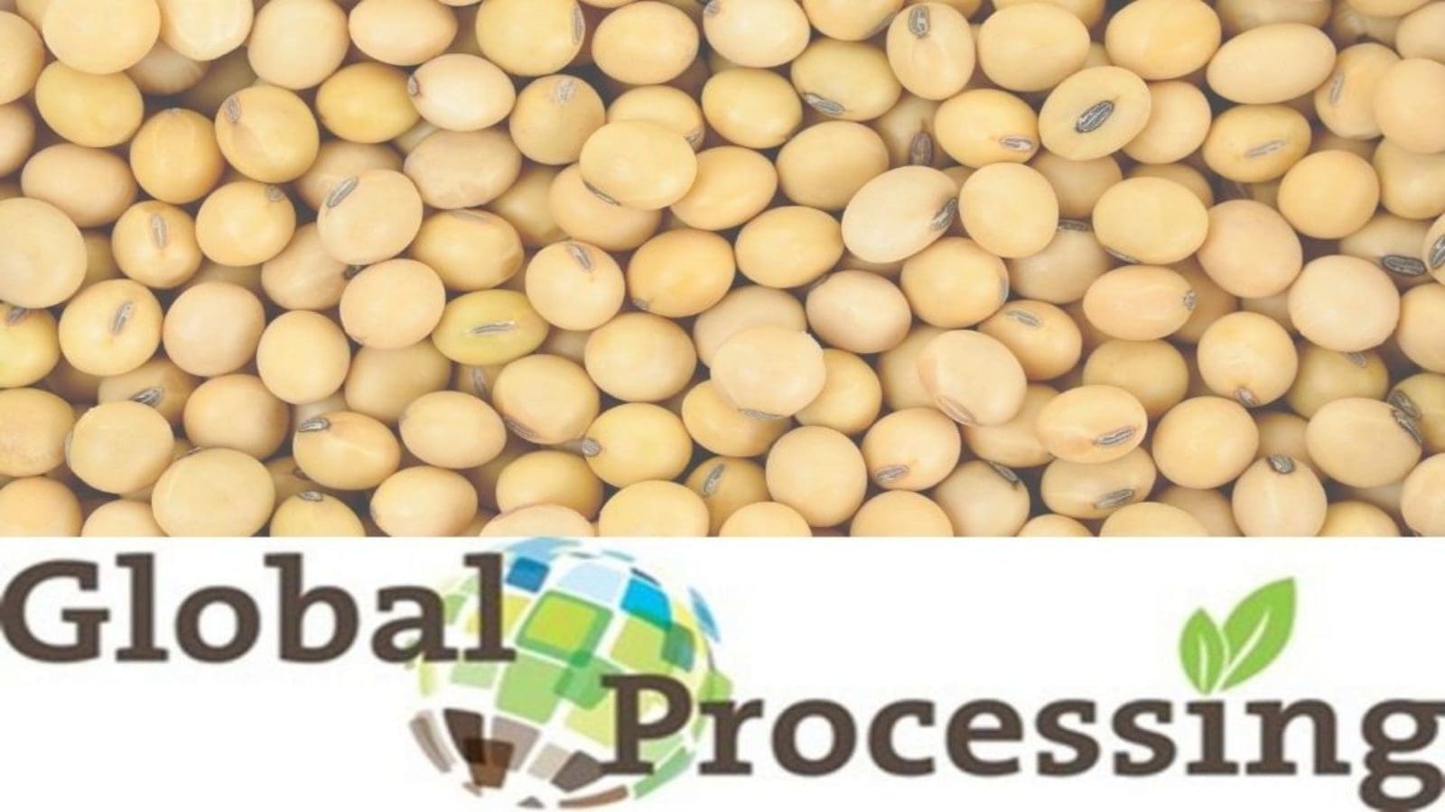 Global Processing to purchase a soy processing plant in Minnesota ...