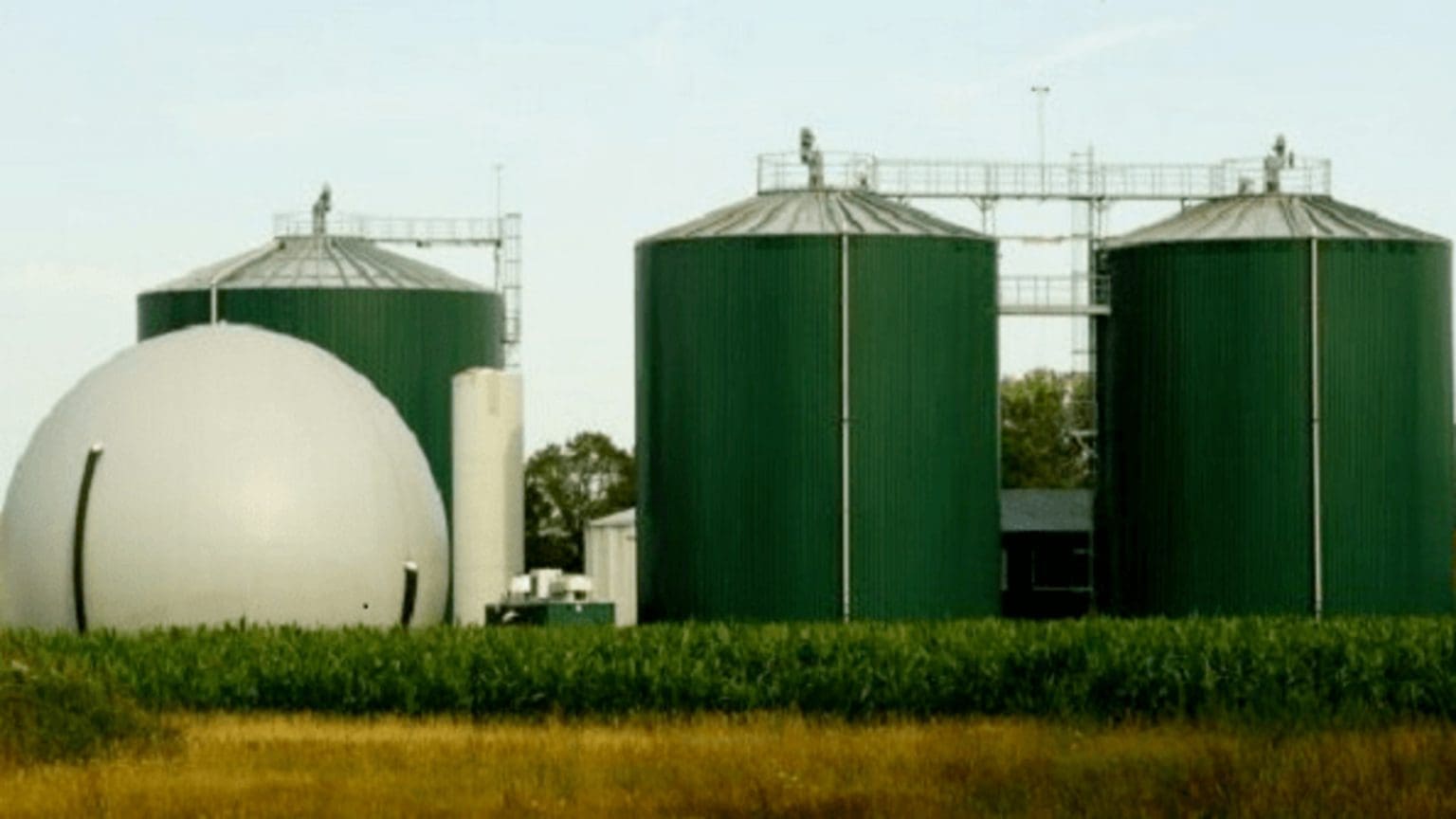 India plans to construct a new CBG plant in Haibowal Dairy Complex in ...