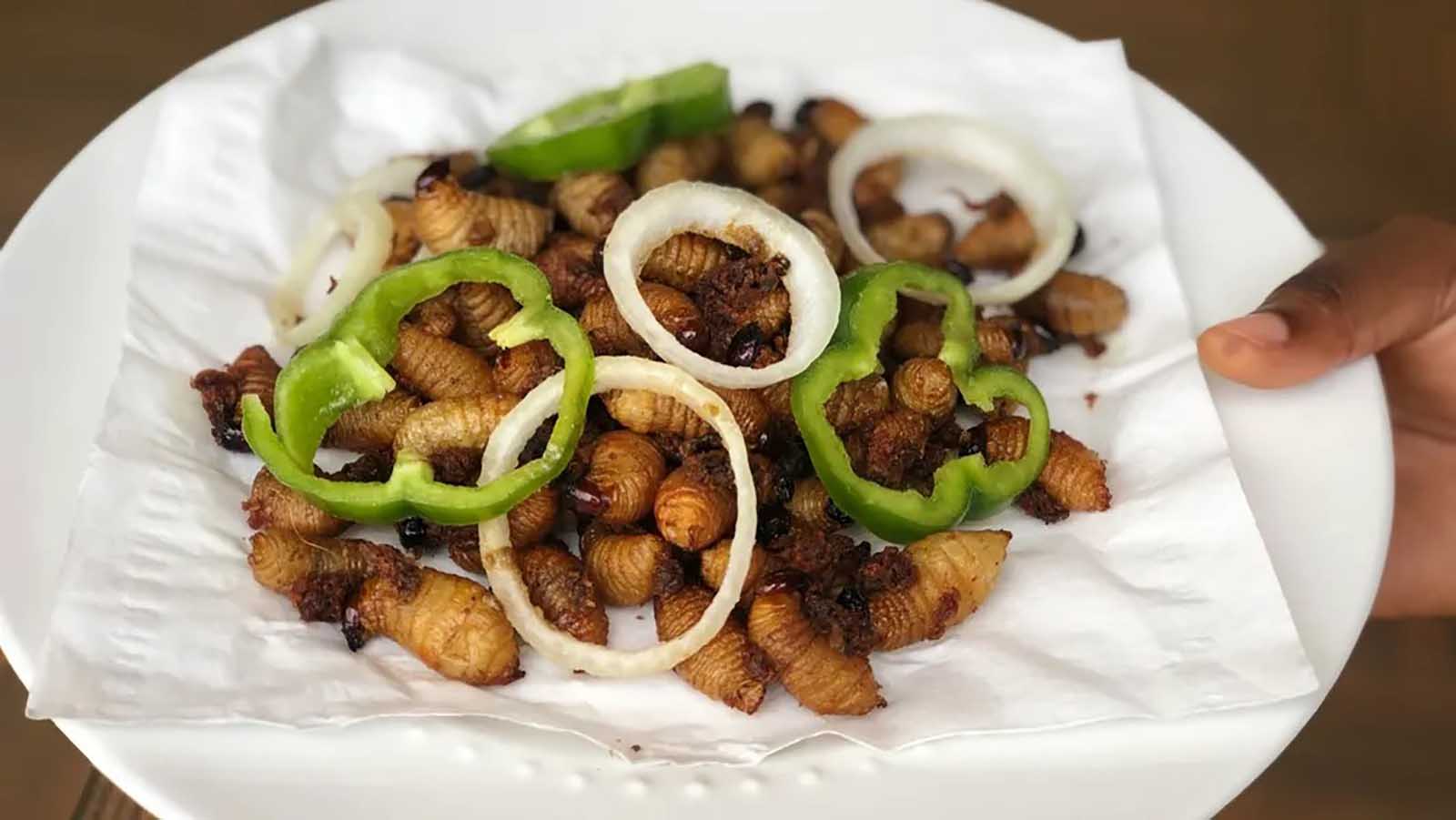 Insect protein farm Legendary Foods Africa clinches investment to ...