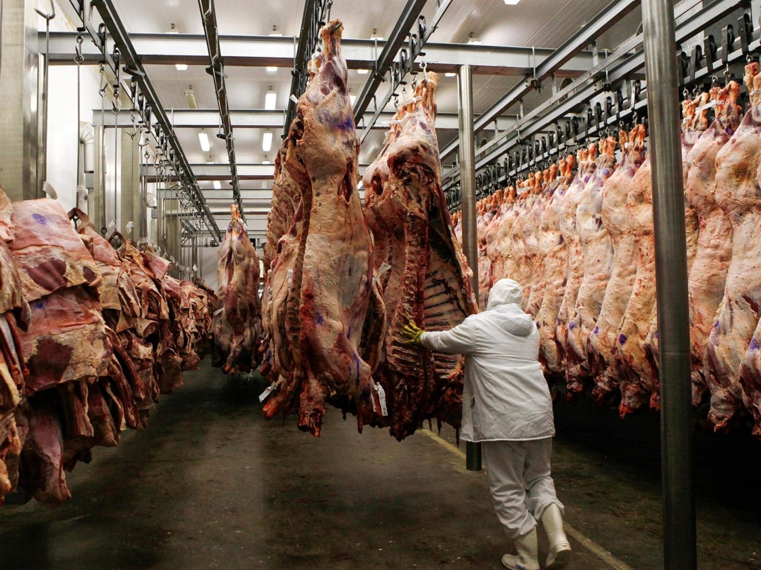 Tanzania meat export to rise following inauguration of US$10m modern ...
