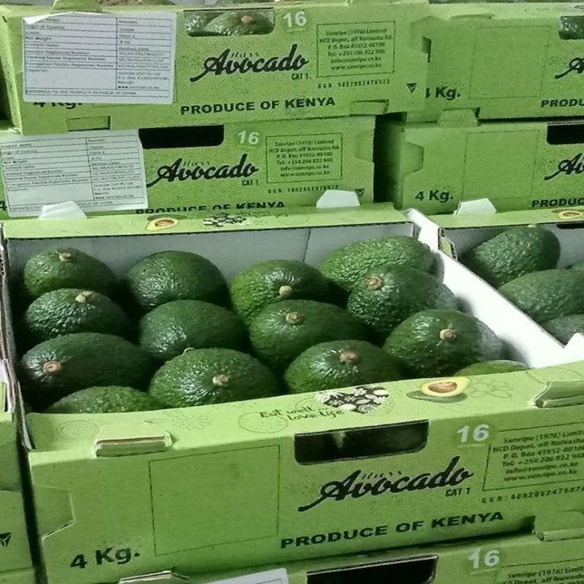 Sedron’s Varcor system picks up pace in strengthening sustainability in ...