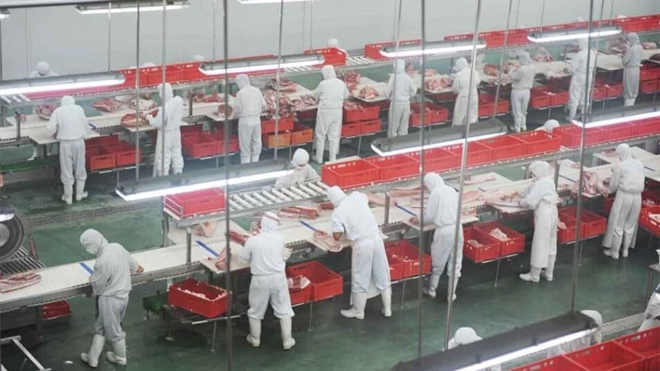 Central Valley Meats acquires Cargill beef plant, aims at expanding ...